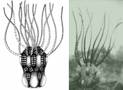 fossil-alma-blastozoa